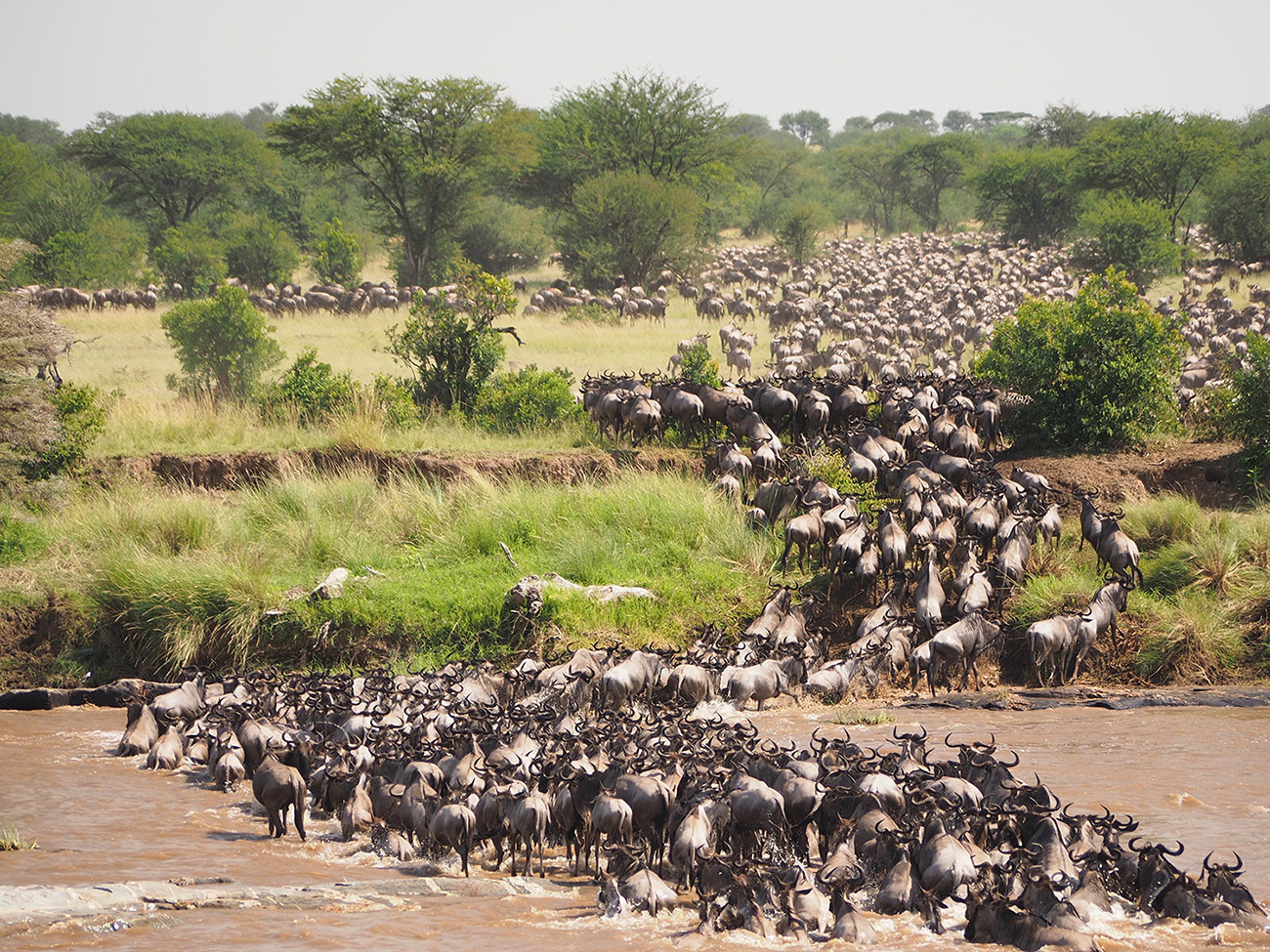 Kwa Nini Watalii Wengi Wanaotembelea Tanzania Hawarudi Tena? - The Chanzo
