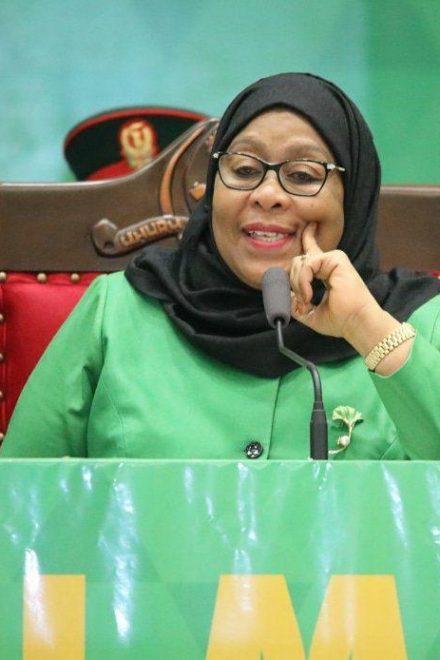 The Chanzo Initiative - Looking at the world from ground up