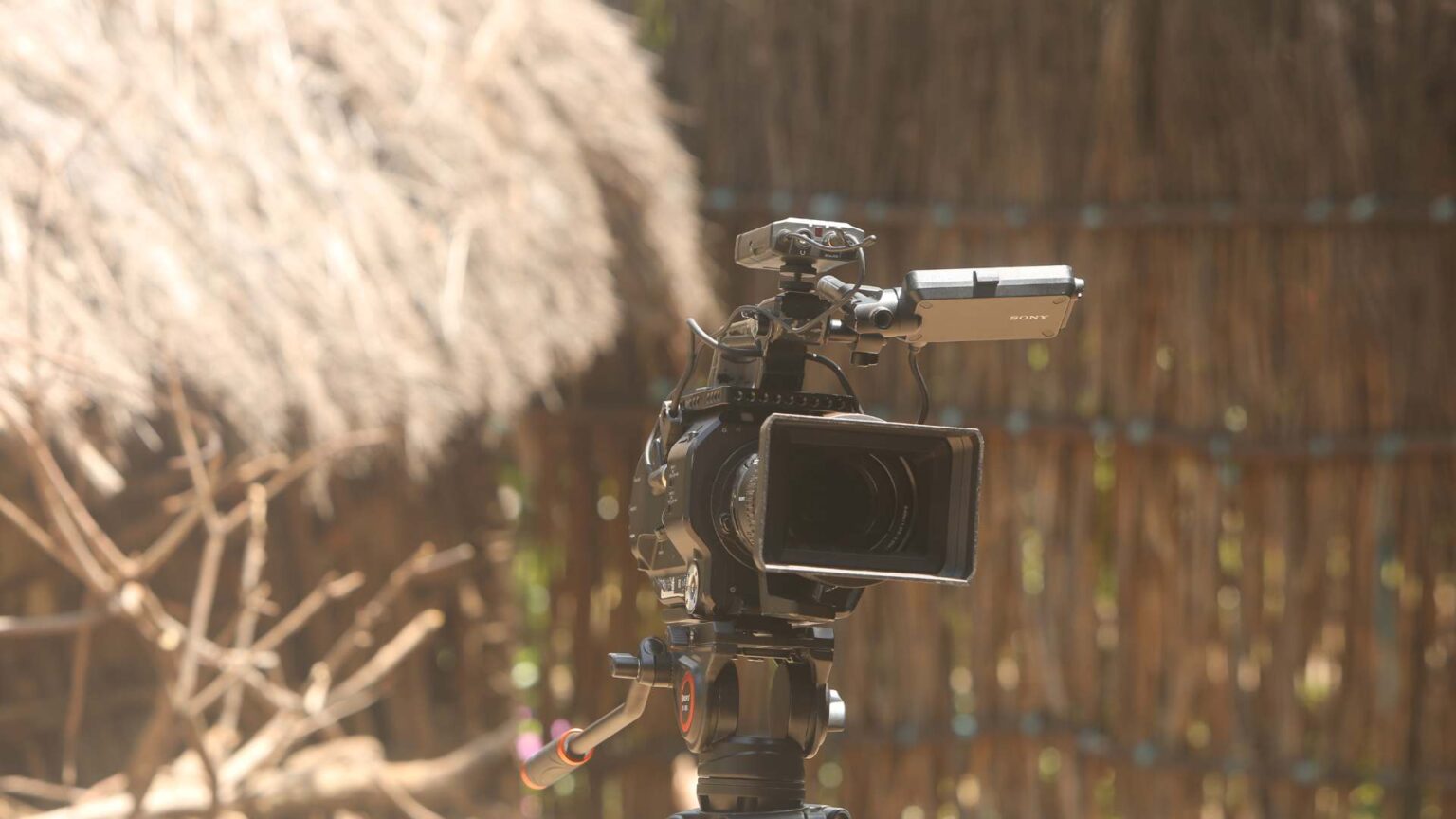 The Chanzo - Looking at the world from ground up