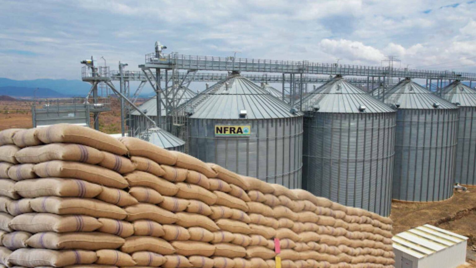 The Chanzo - Looking at the world from ground up