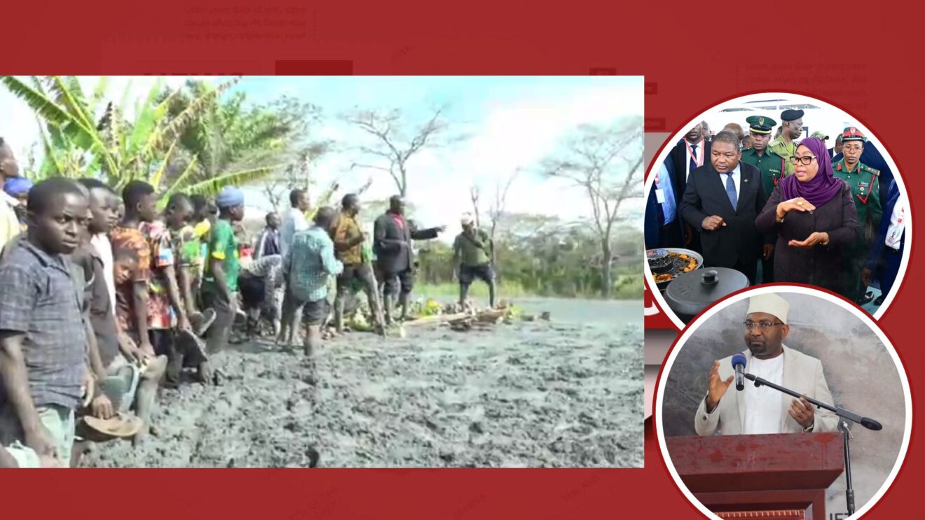 The Chanzo - Looking at the world from ground up