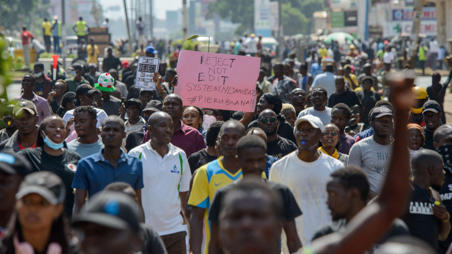 The Chanzo - Looking at the world from ground up