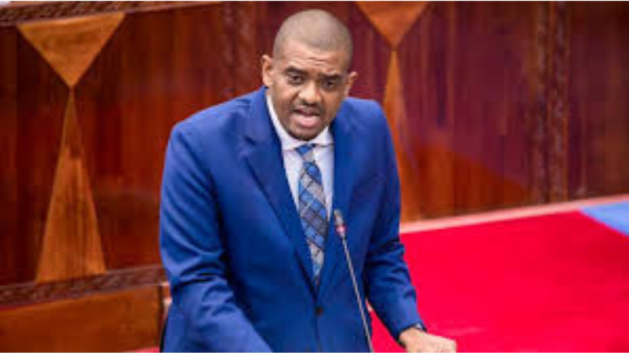 Tanzania Says LNG Project Nears Final Stage After Lengthy Negotiations ...